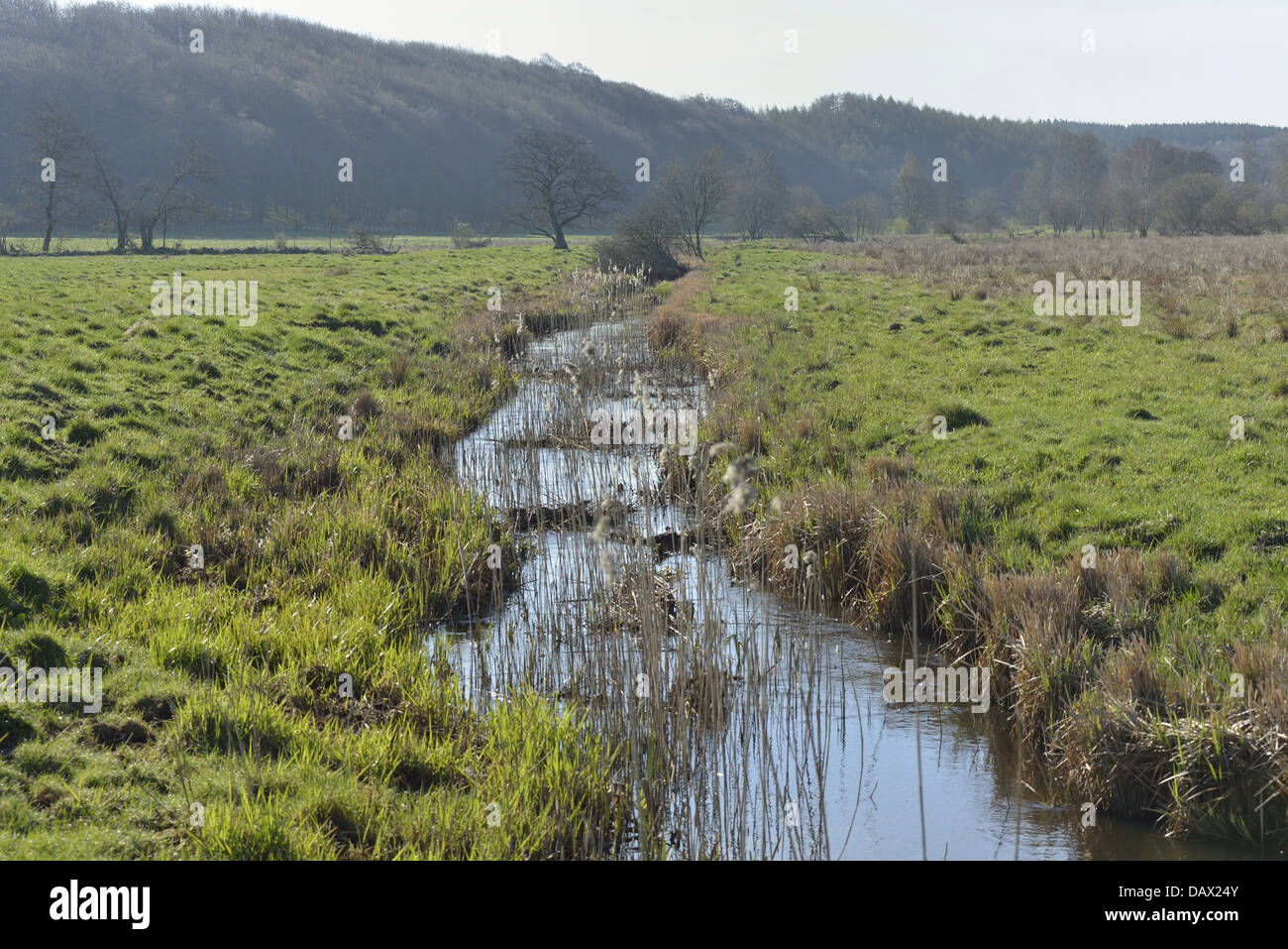 Water draining ditch hi-res stock photography and images - Alamy