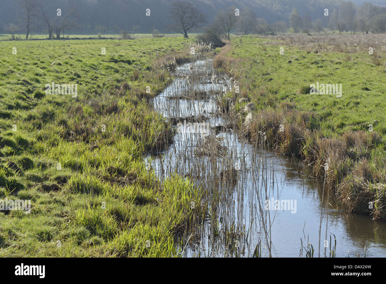 Water draining ditch hi-res stock photography and images - Alamy