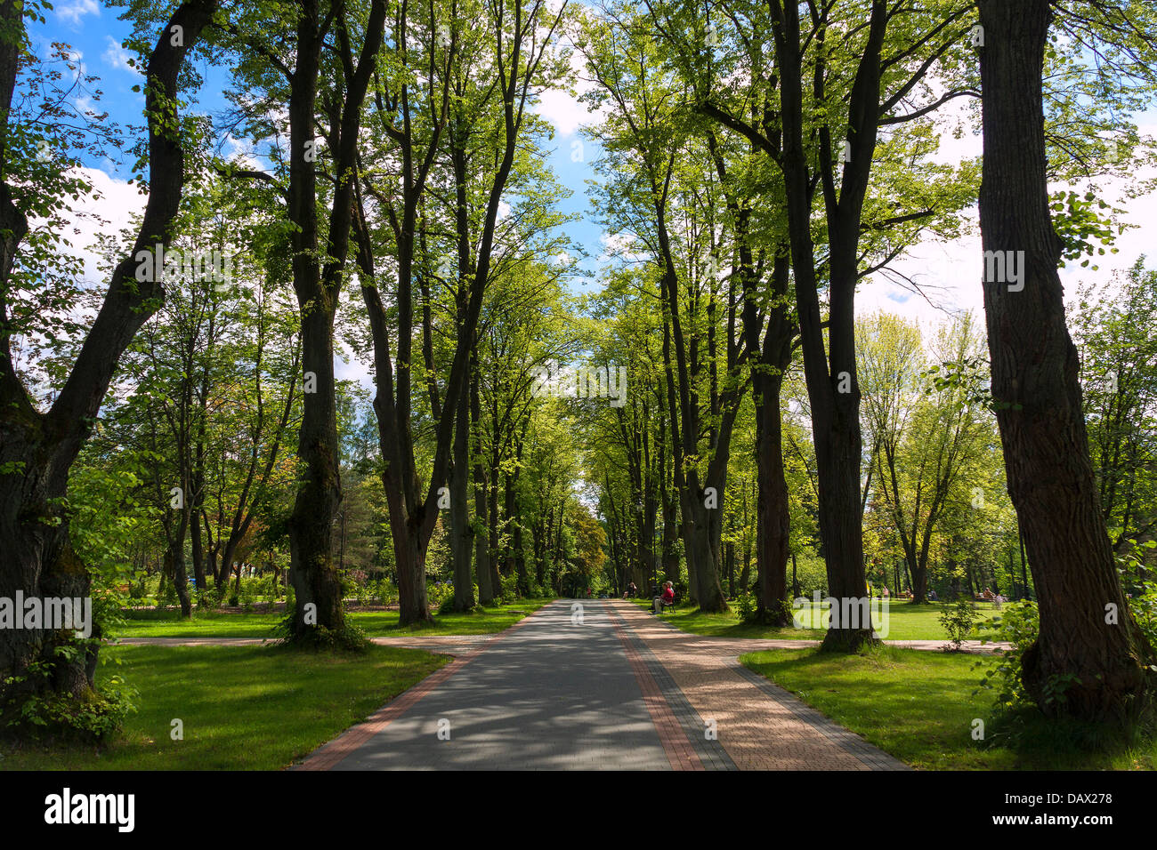 Rabka hi-res stock photography and images - Alamy