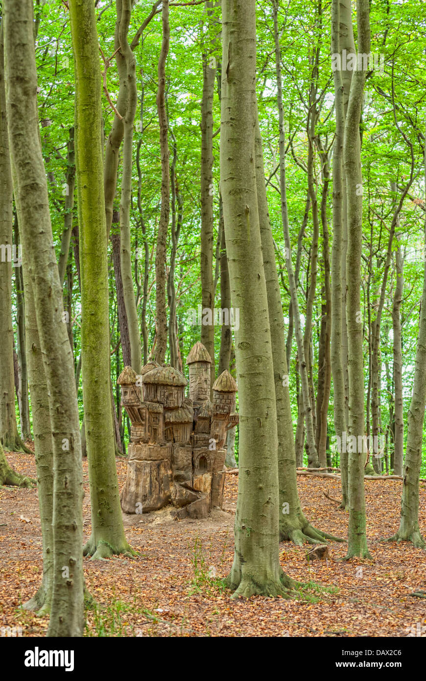 A mysterious castle carved out of a dead tree stump in the middle of a ...