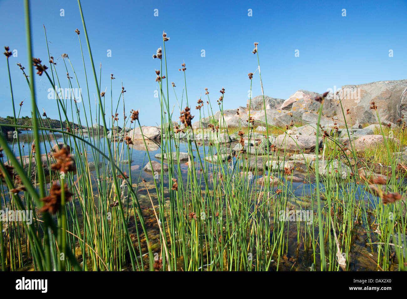 Kokar aland hi-res stock photography and images - Alamy