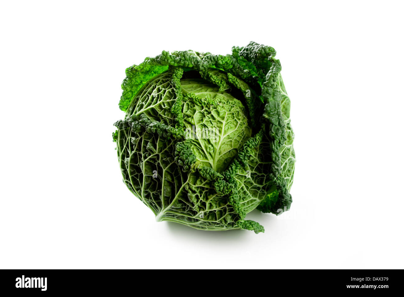 Food fresh cabbage Cut Out Stock Images & Pictures - Alamy