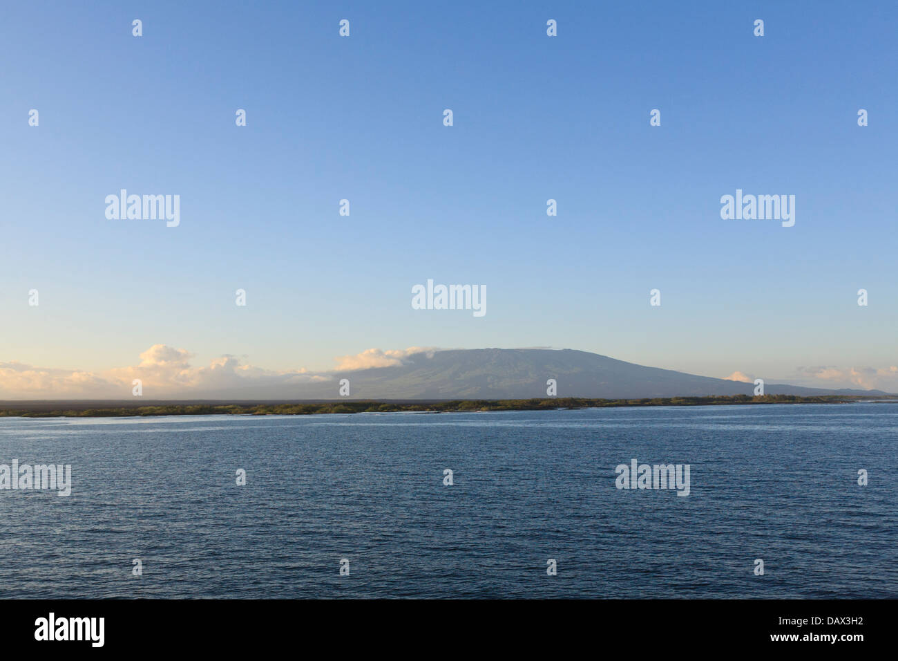 Sierra Negra Volcano, Isabela Island, Galapagos Islands, Ecuador Stock ...