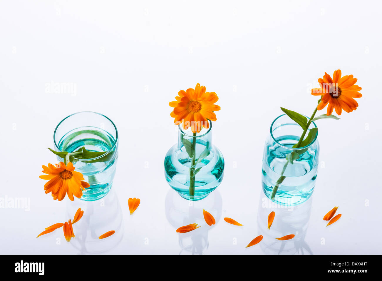 Three vase on white background Stock Photo - Alamy