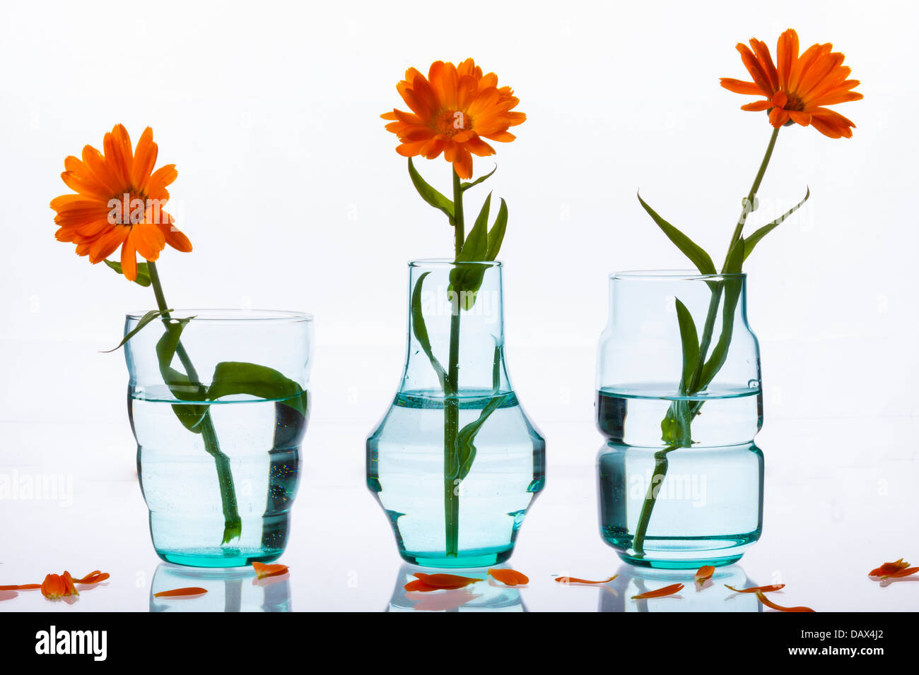 Three vase on white background Stock Photo - Alamy