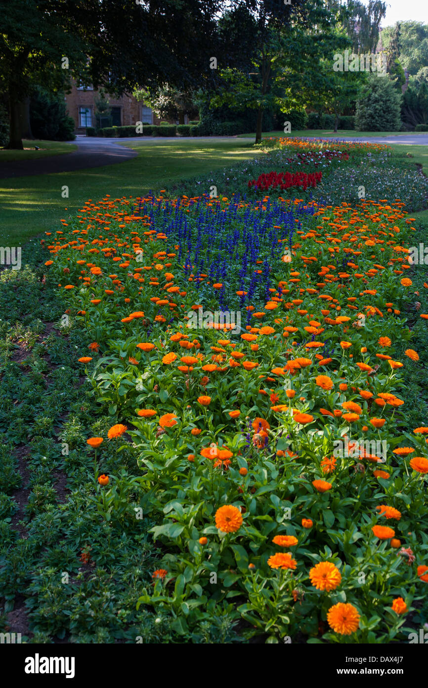 Flower bed in Abington Park Northampton Stock Photo - Alamy