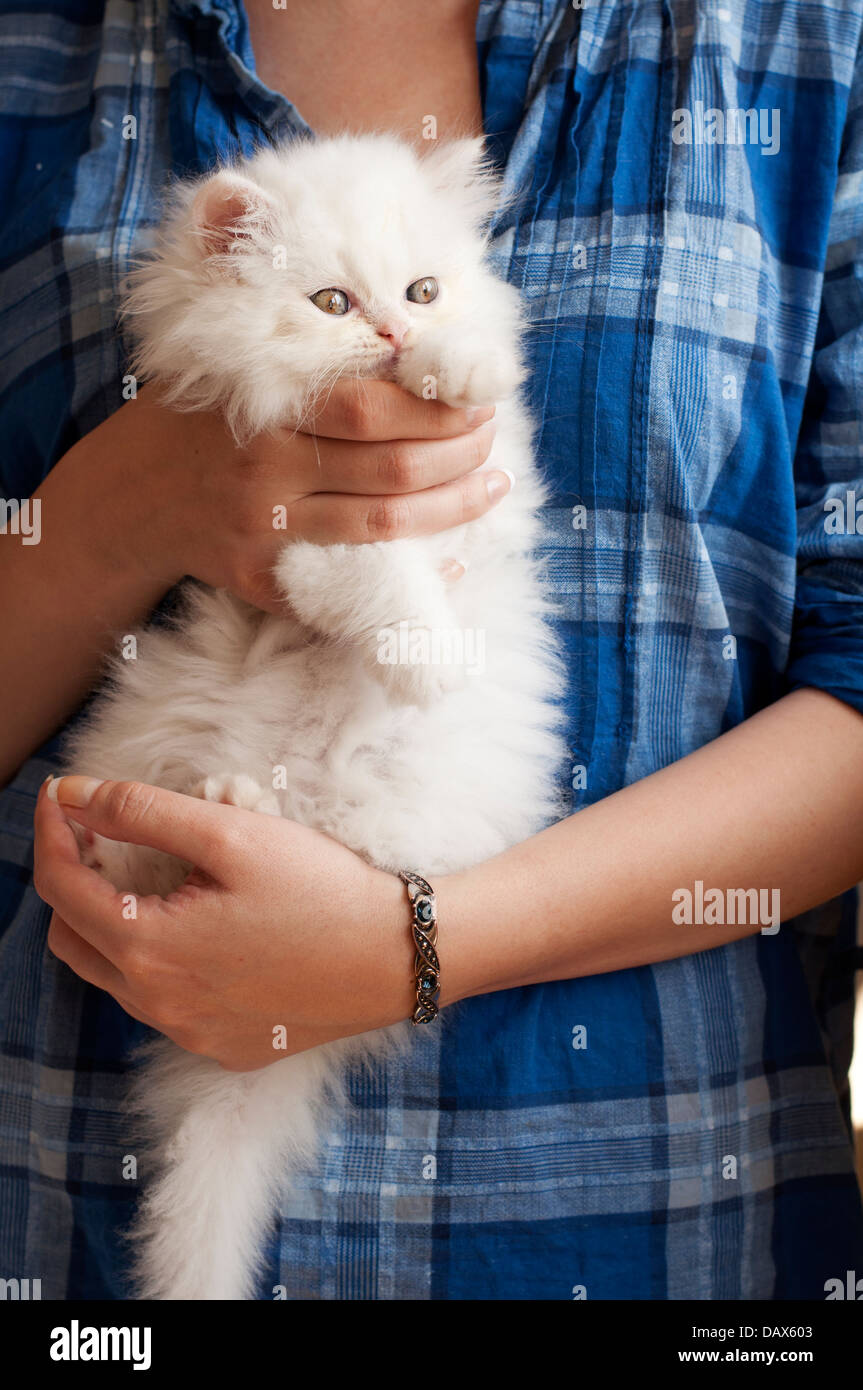 Girl holding kitten Stock Photo - Alamy