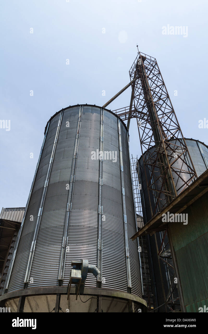 Metal silo for agriculture granary in Thailand Stock Photo - Alamy