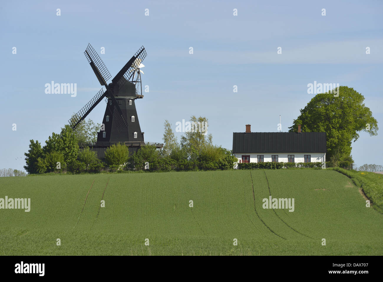 Dutch type windmill built 1887 with house for the millers family Stock ...