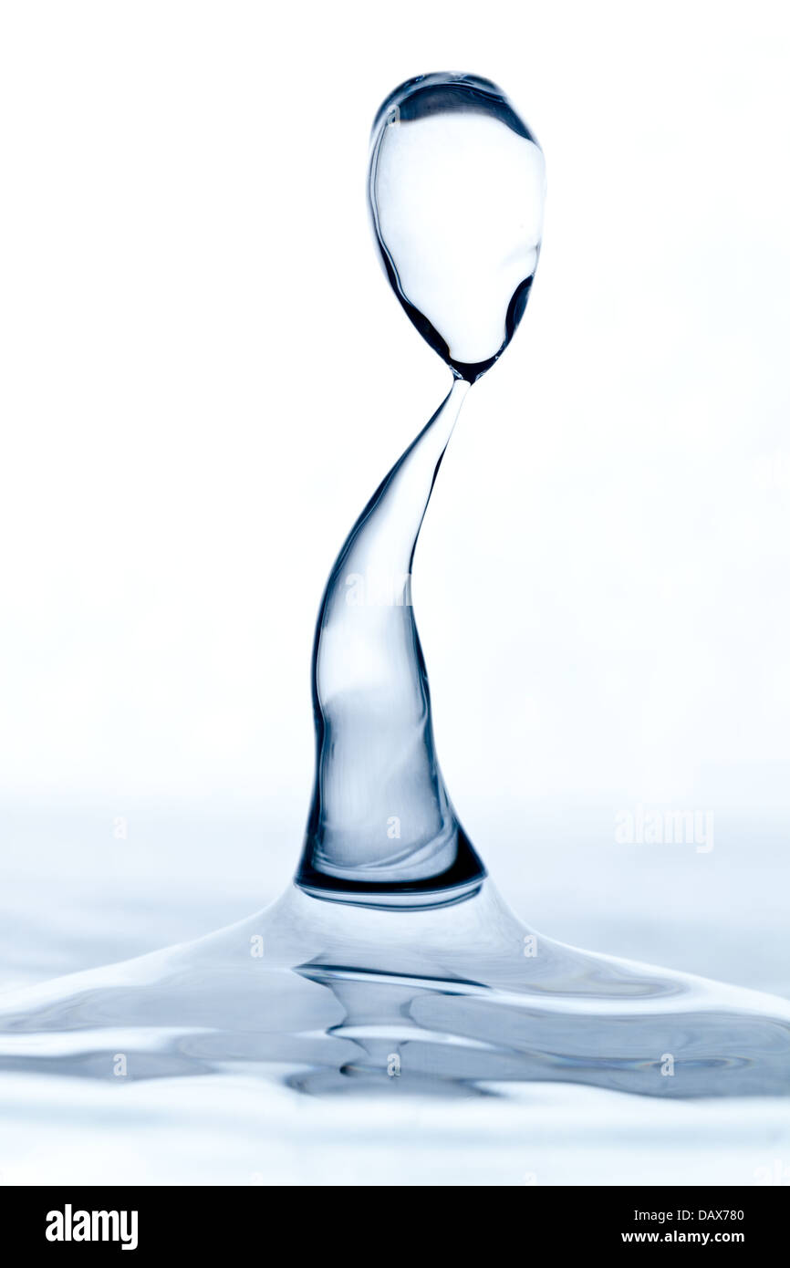 Water Drop Impact On The Liquid Surface White Background Stock Photo ...