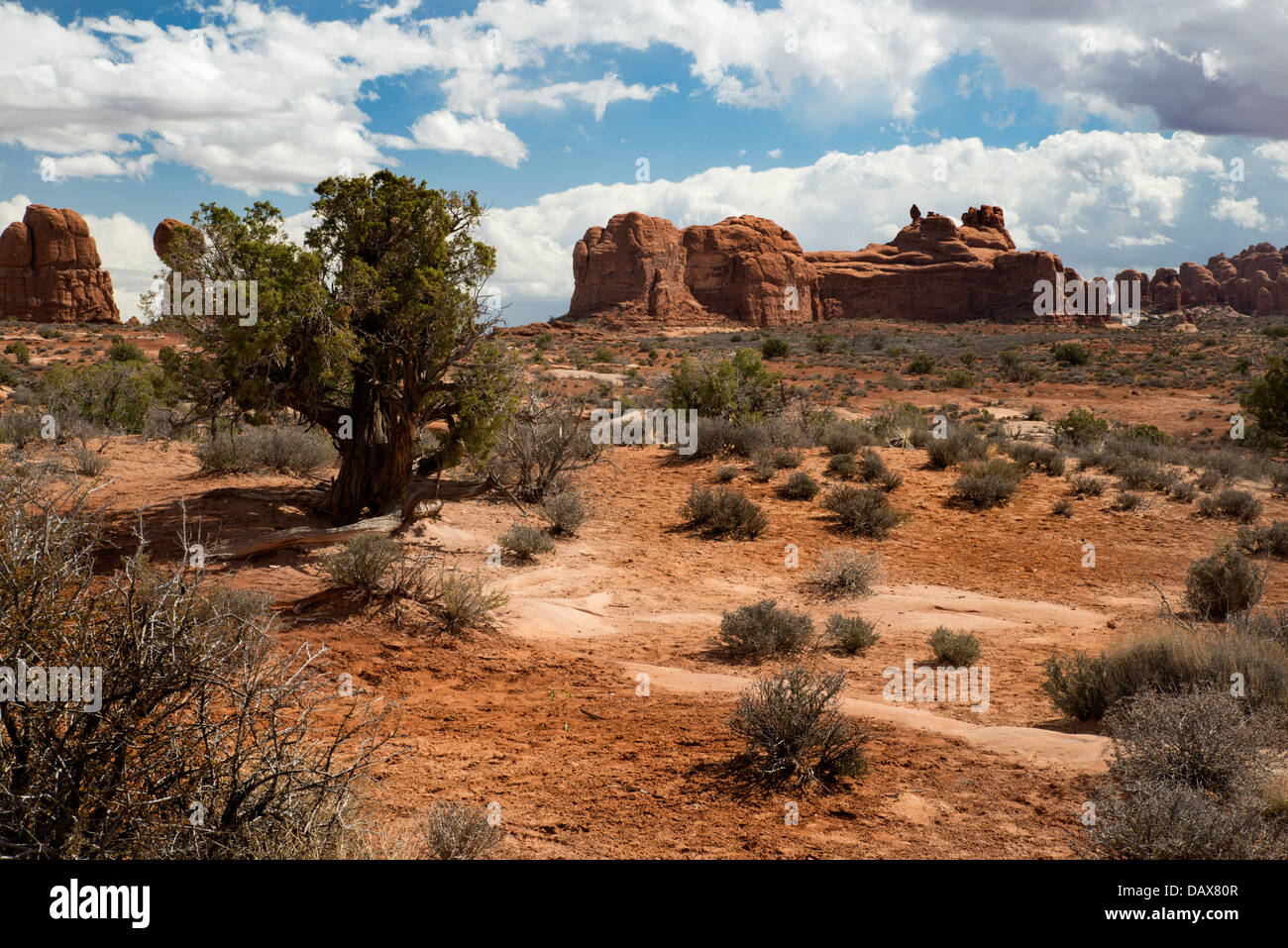 Sandstone monoliths hi-res stock photography and images - Alamy
