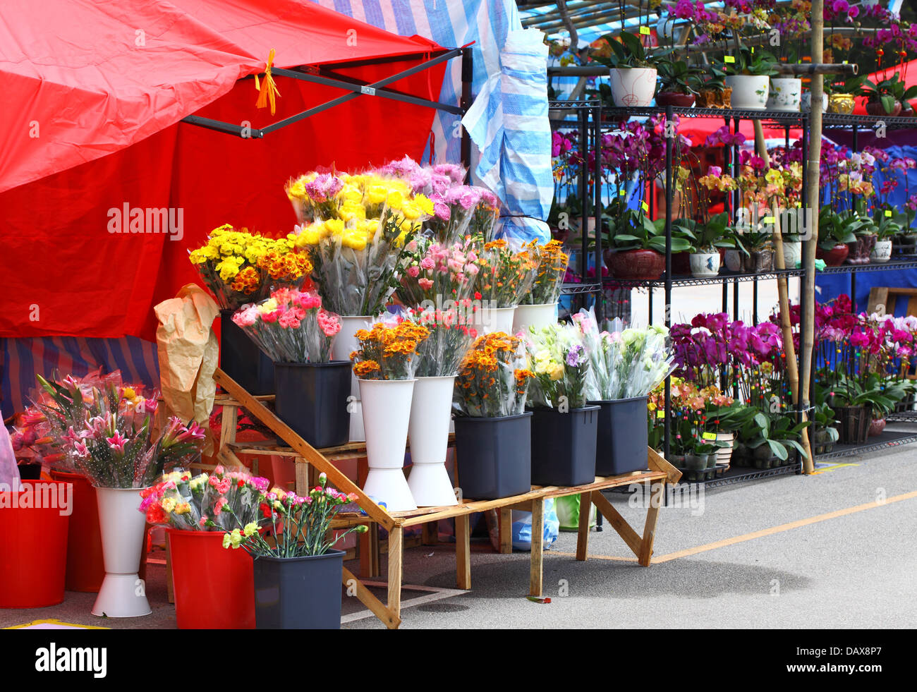 flower fair for chinese new year Stock Photo - Alamy