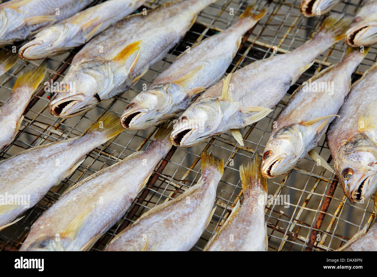dry salt fish Stock Photo - Alamy