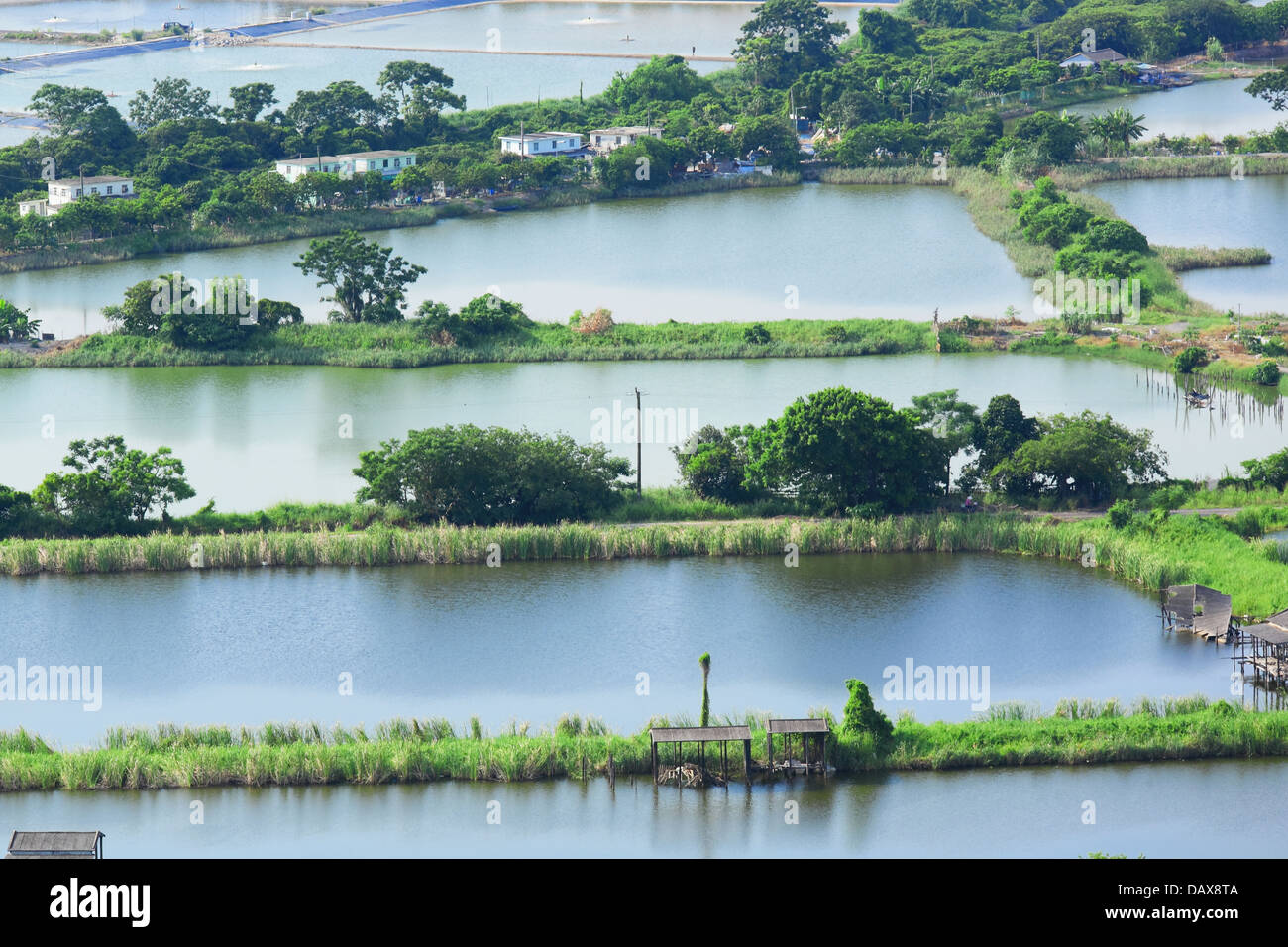 Fish hatchery pond Stock Photo - Alamy