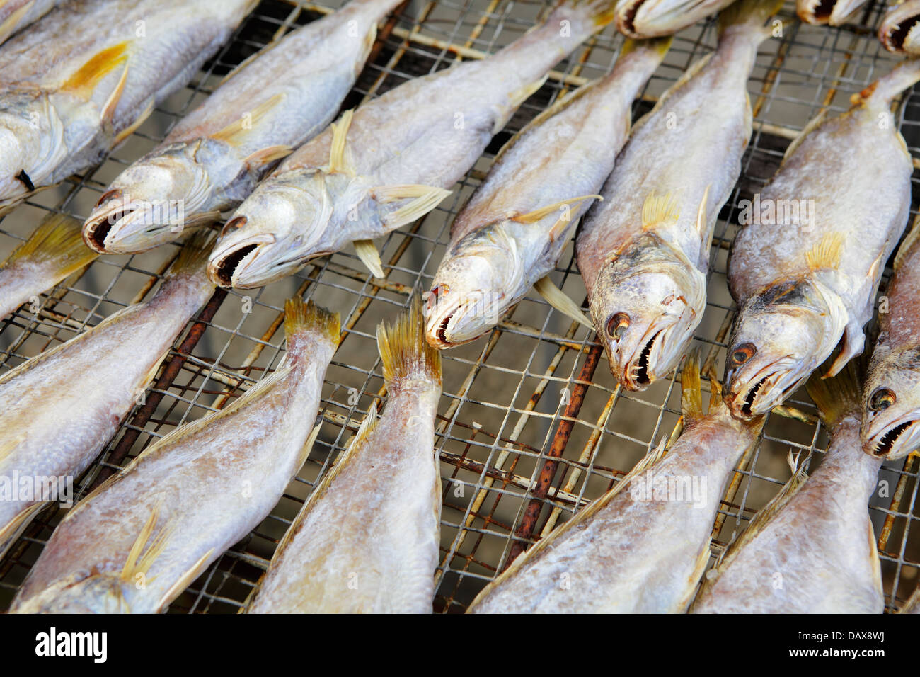 dry salt fish Stock Photo - Alamy