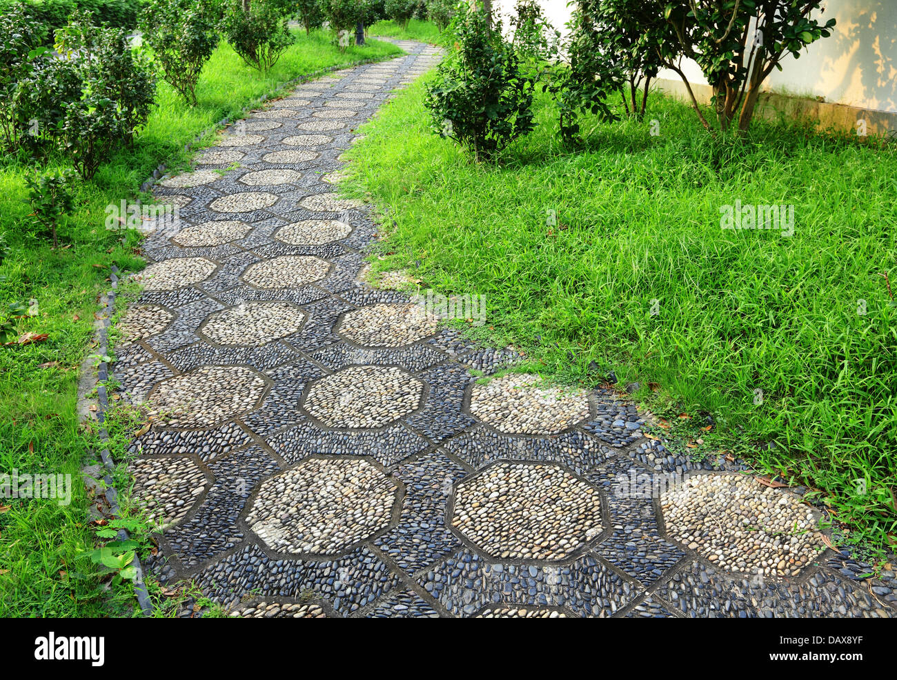 path in park Stock Photo - Alamy
