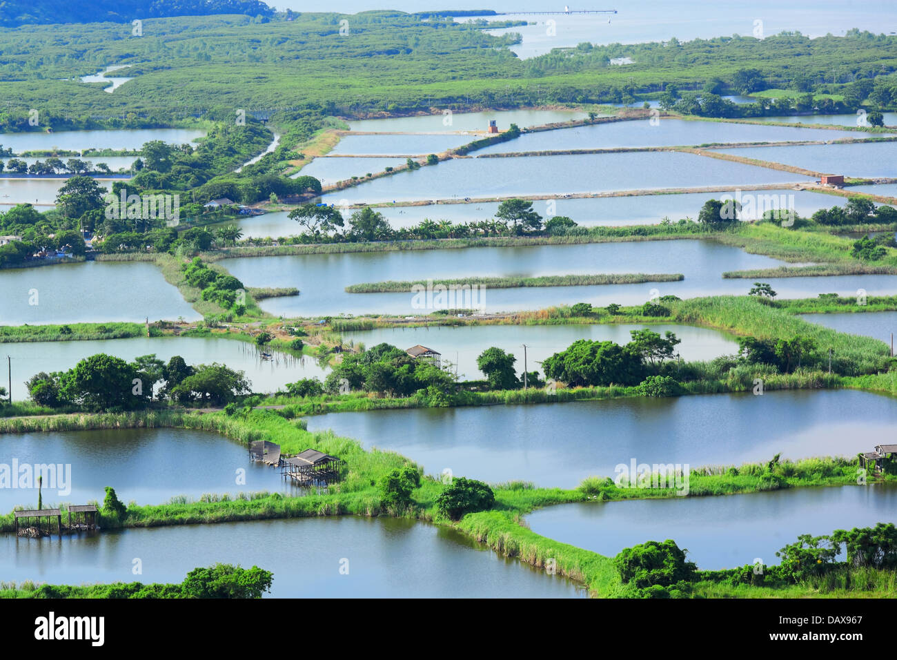 Fish hatchery pond Stock Photo - Alamy