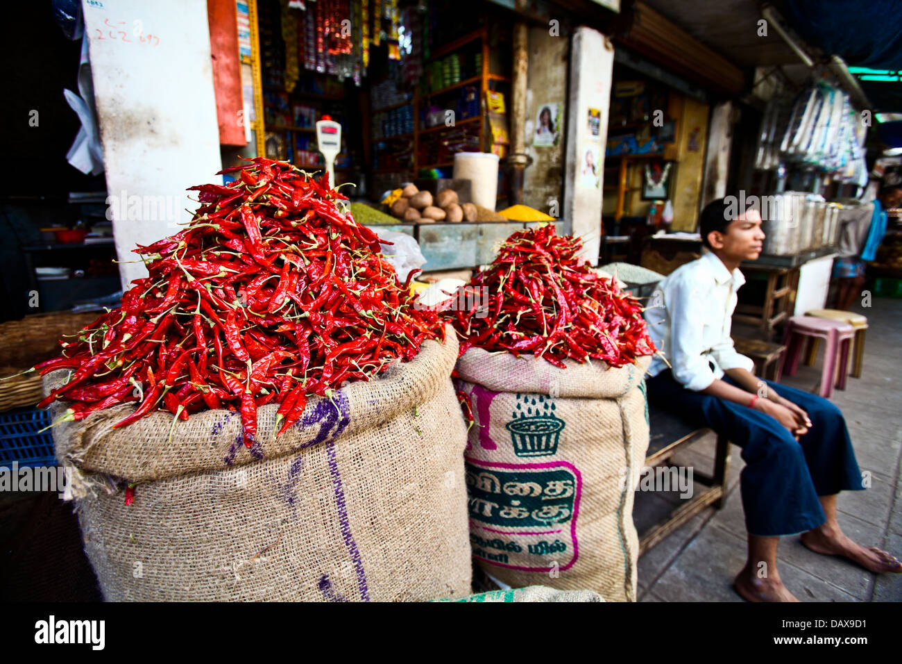Devaraja Market, Mysore, India Stock Photo - Alamy