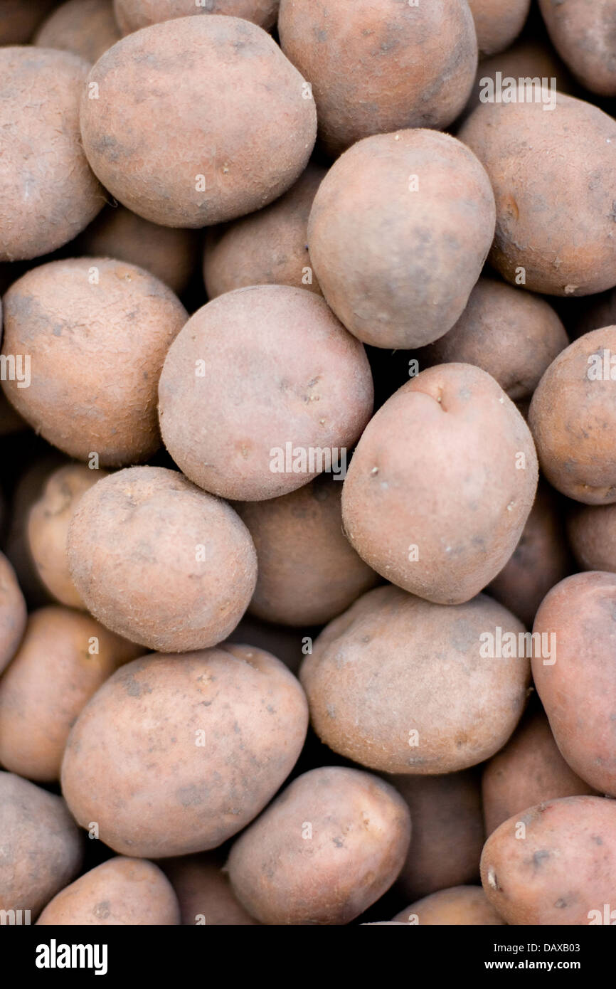 Mud mash hi-res stock photography and images - Alamy