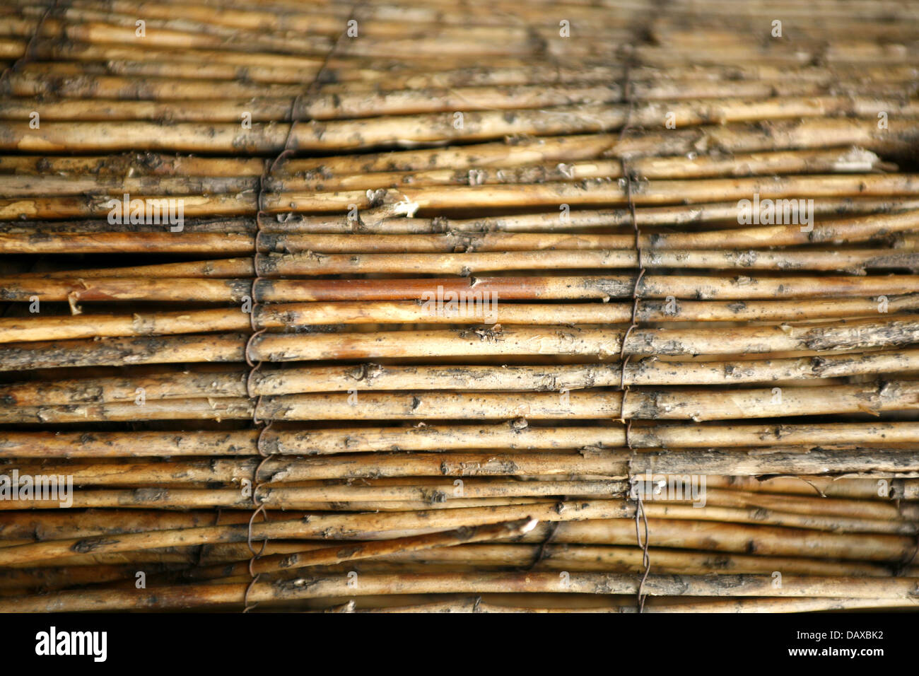 Small twigs hi-res stock photography and images - Alamy