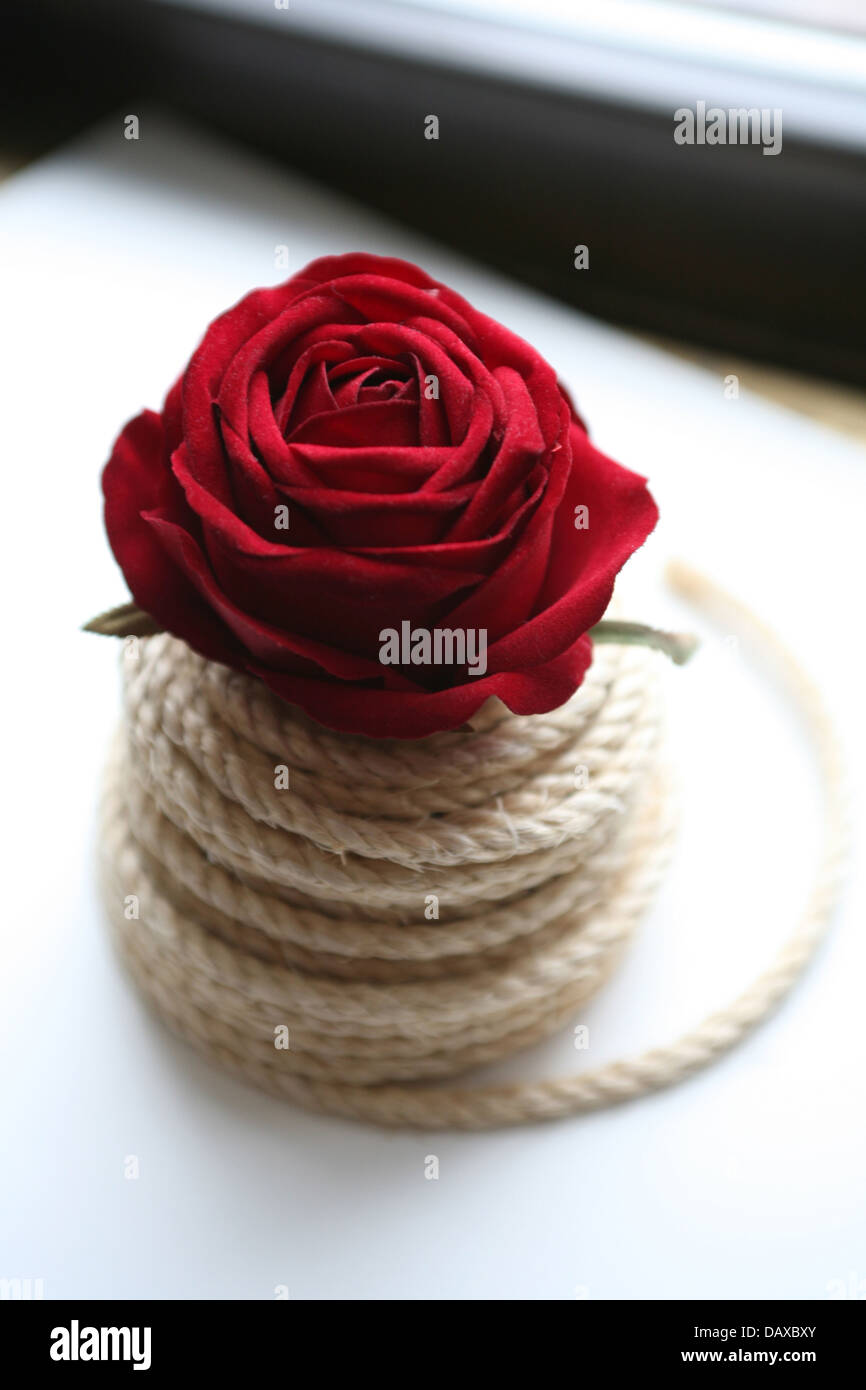 a red rose in a spool of rope Stock Photo - Alamy