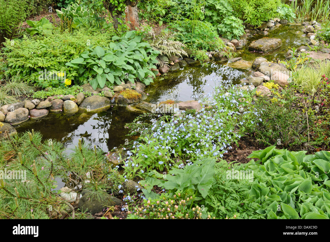 Perennial stream hi-res stock photography and images - Alamy