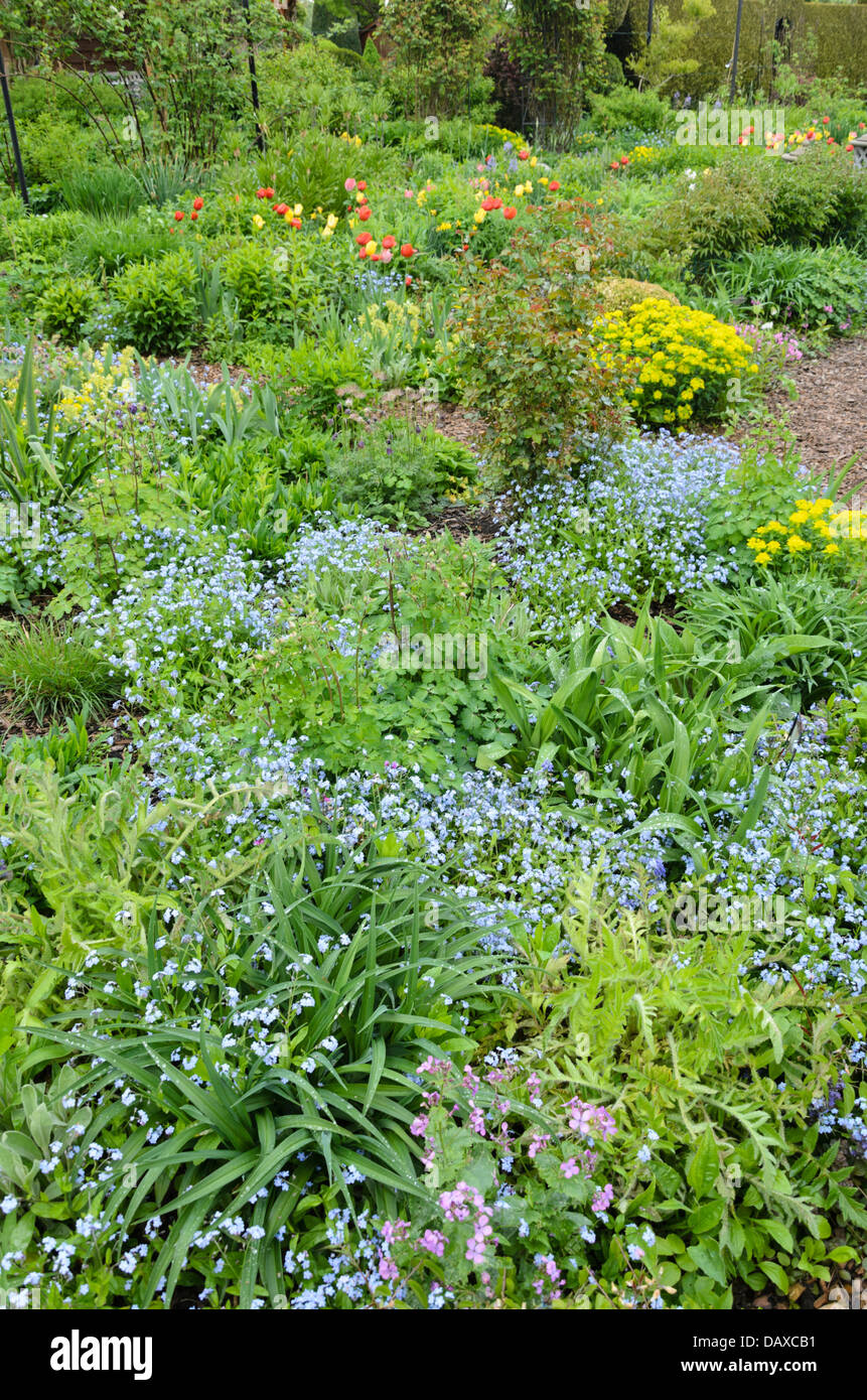 Brunnera garden border hi-res stock photography and images - Alamy