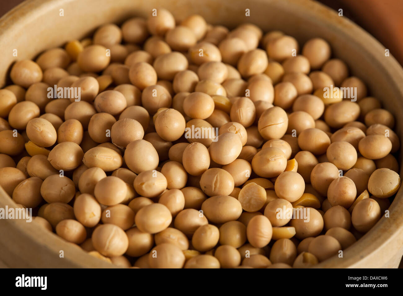 Soy bean plant hi-res stock photography and images - Alamy