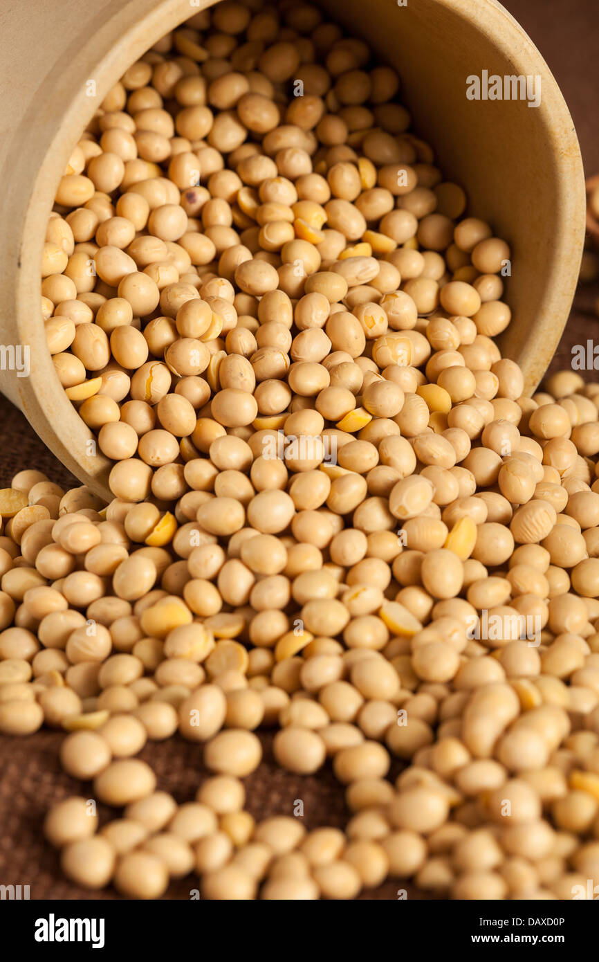 Raw Organic Dry Soy Beans against a Background Stock Photo - Alamy