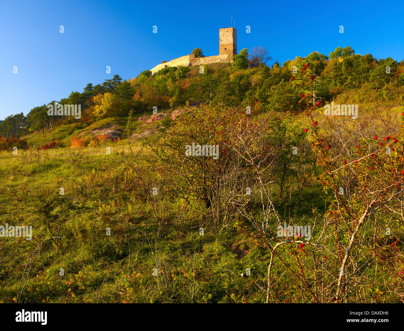 Gleichen Castle, Mühlberg, Drei Gleichen, Thuringia, Germany Stock ...