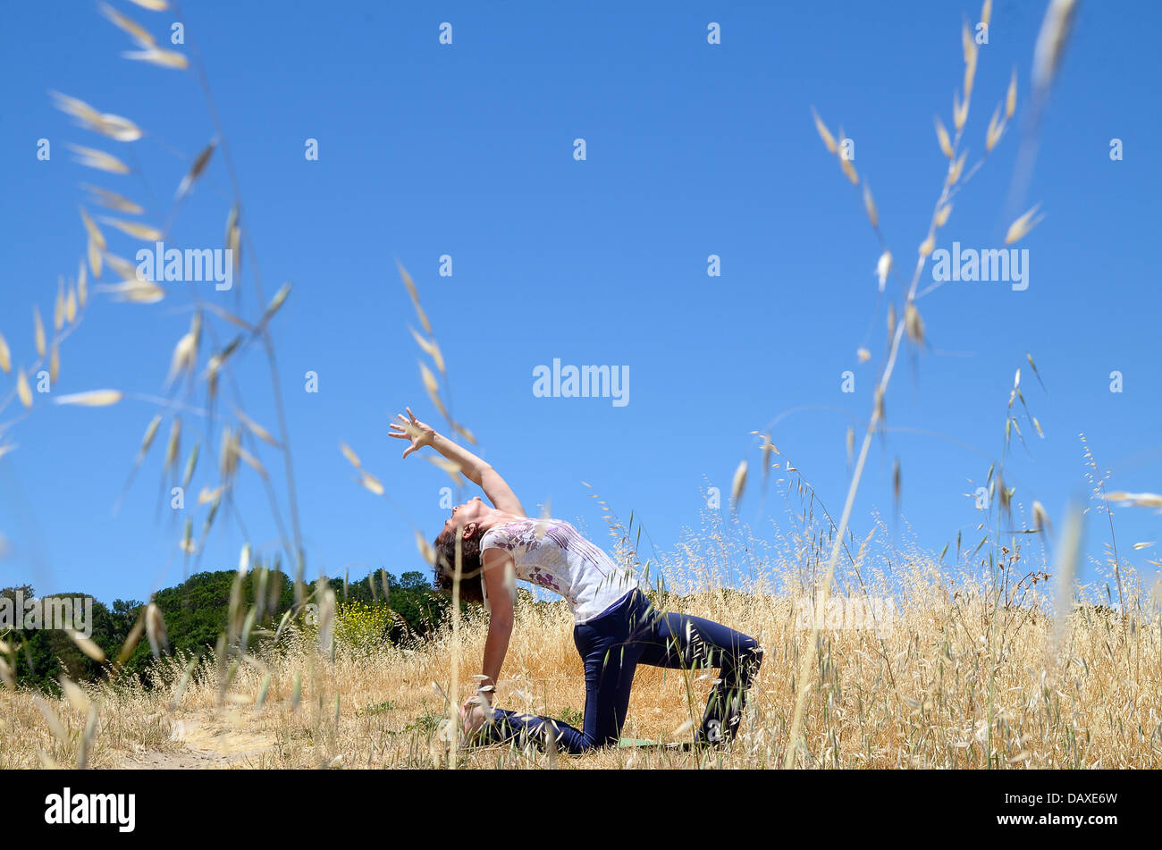 A woman doing a stretch yoga pose in a field Stock Photo - Alamy