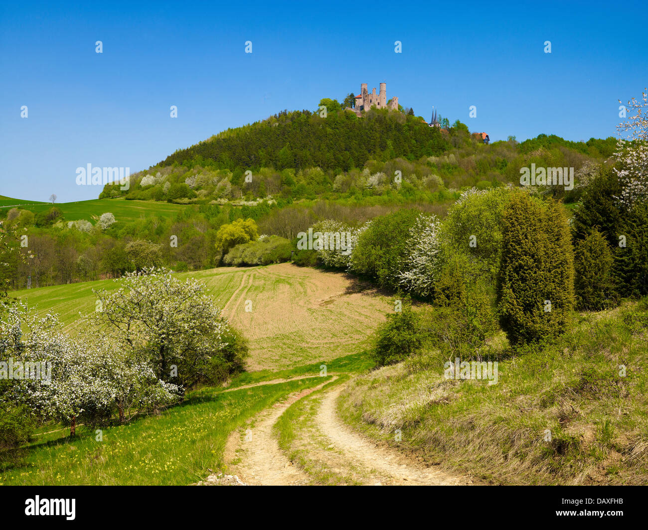 Hanstein Castle, Rimbach, Bornhagen, Eichsfeld District, Thuringia ...