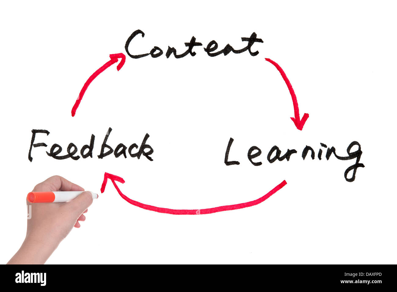 Content, learning and feedback, Education concept diagram on white ...