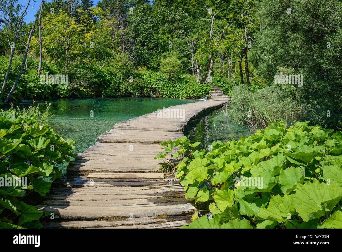 Bridge over a pond hi-res stock photography and images - Alamy