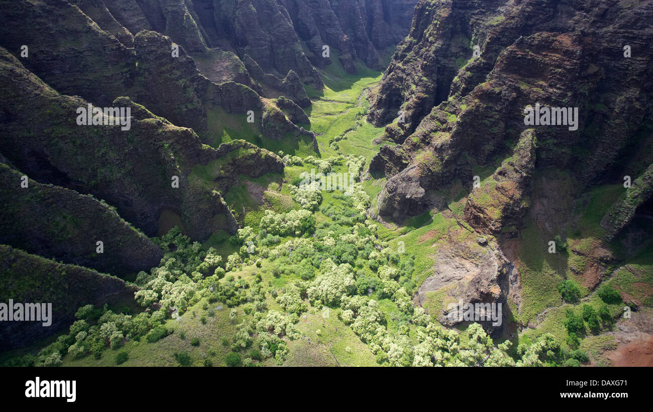 Ravine hawaii hi-res stock photography and images - Alamy