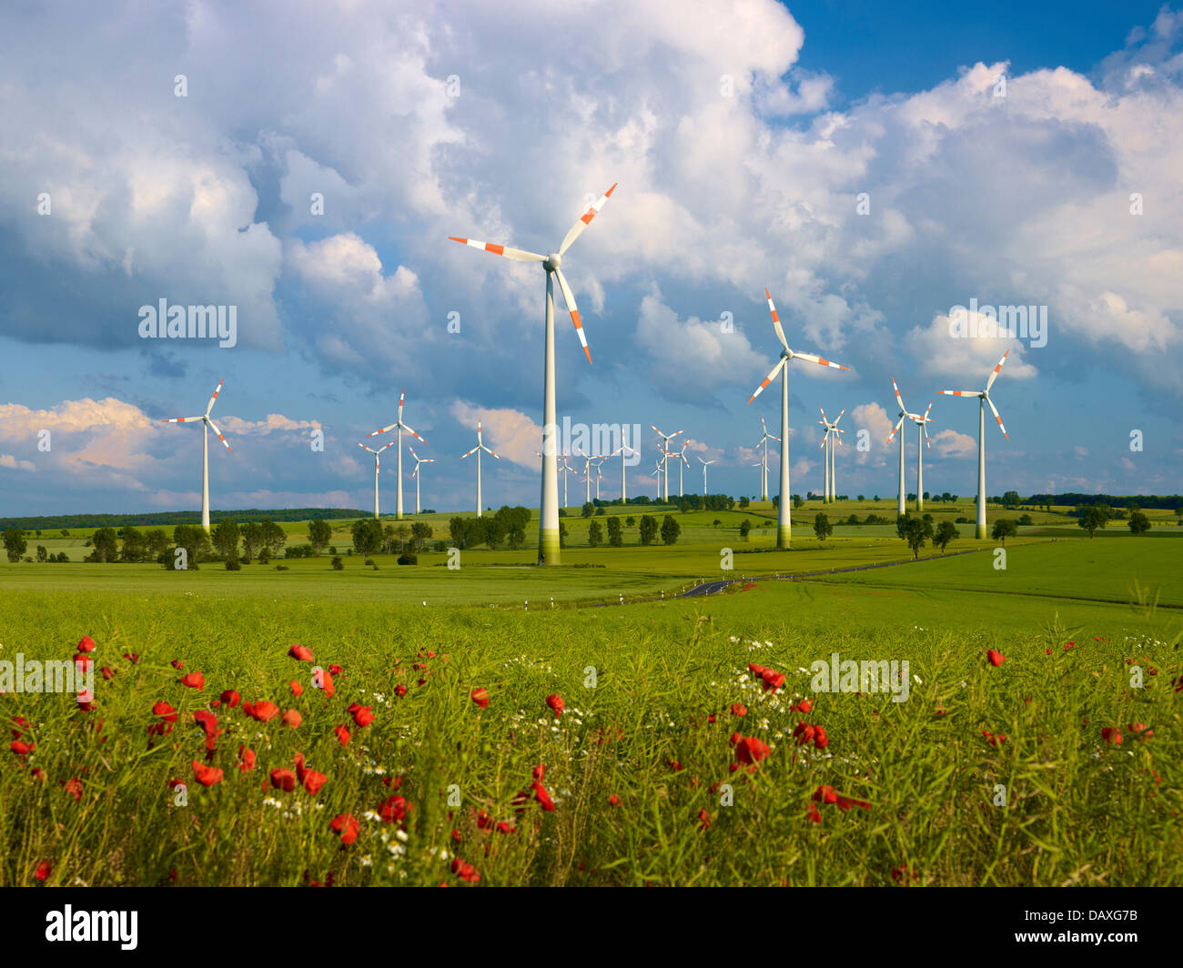 Wachstedt hi-res stock photography and images - Alamy