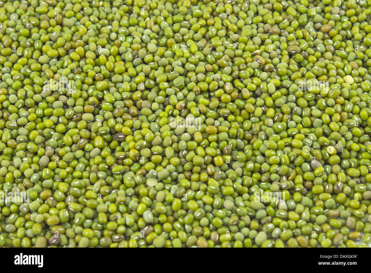 Munggo beans hi-res stock photography and images - Alamy