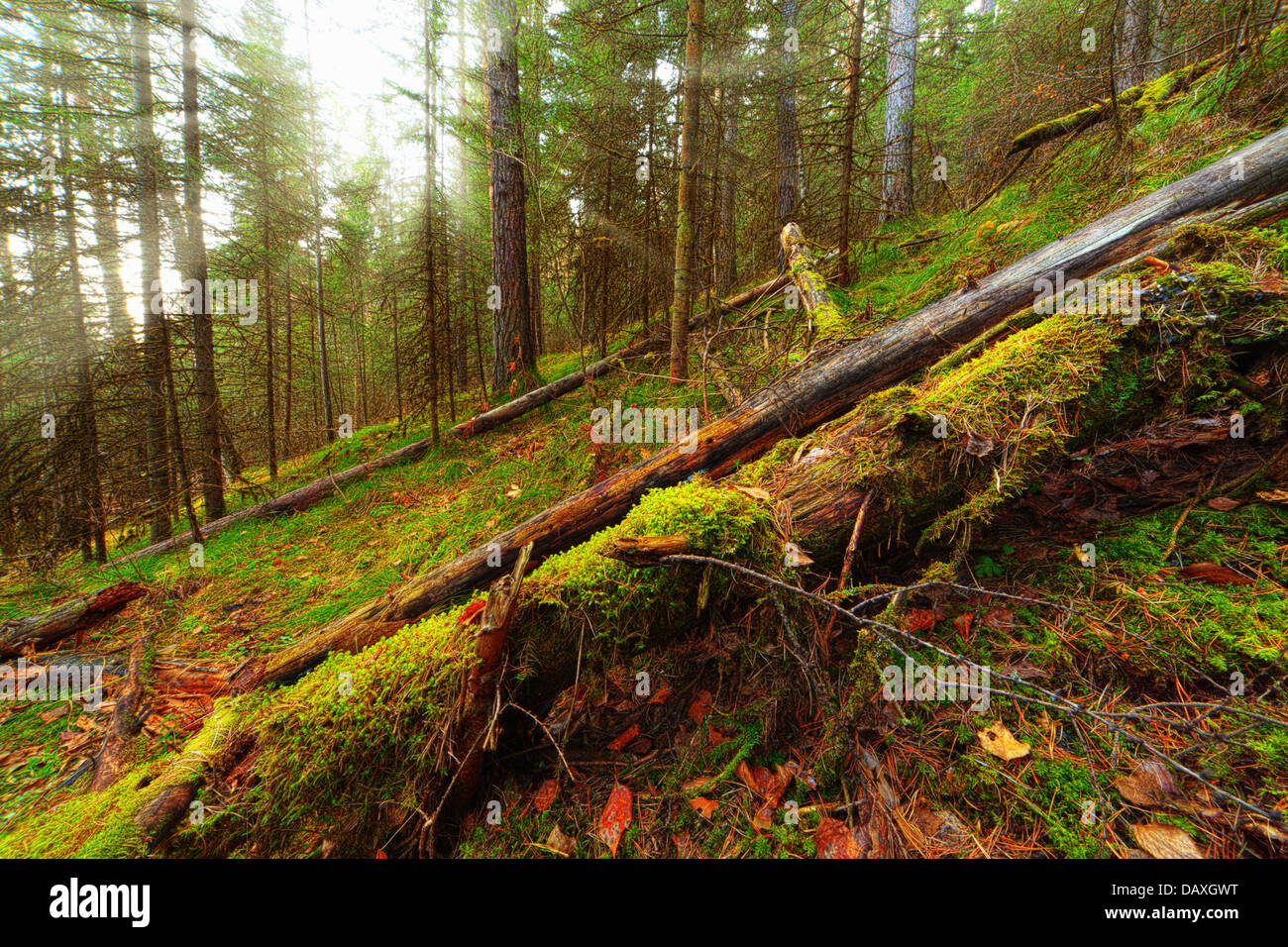 Image processed for high dynamic range color (HDRI technique Stock ...