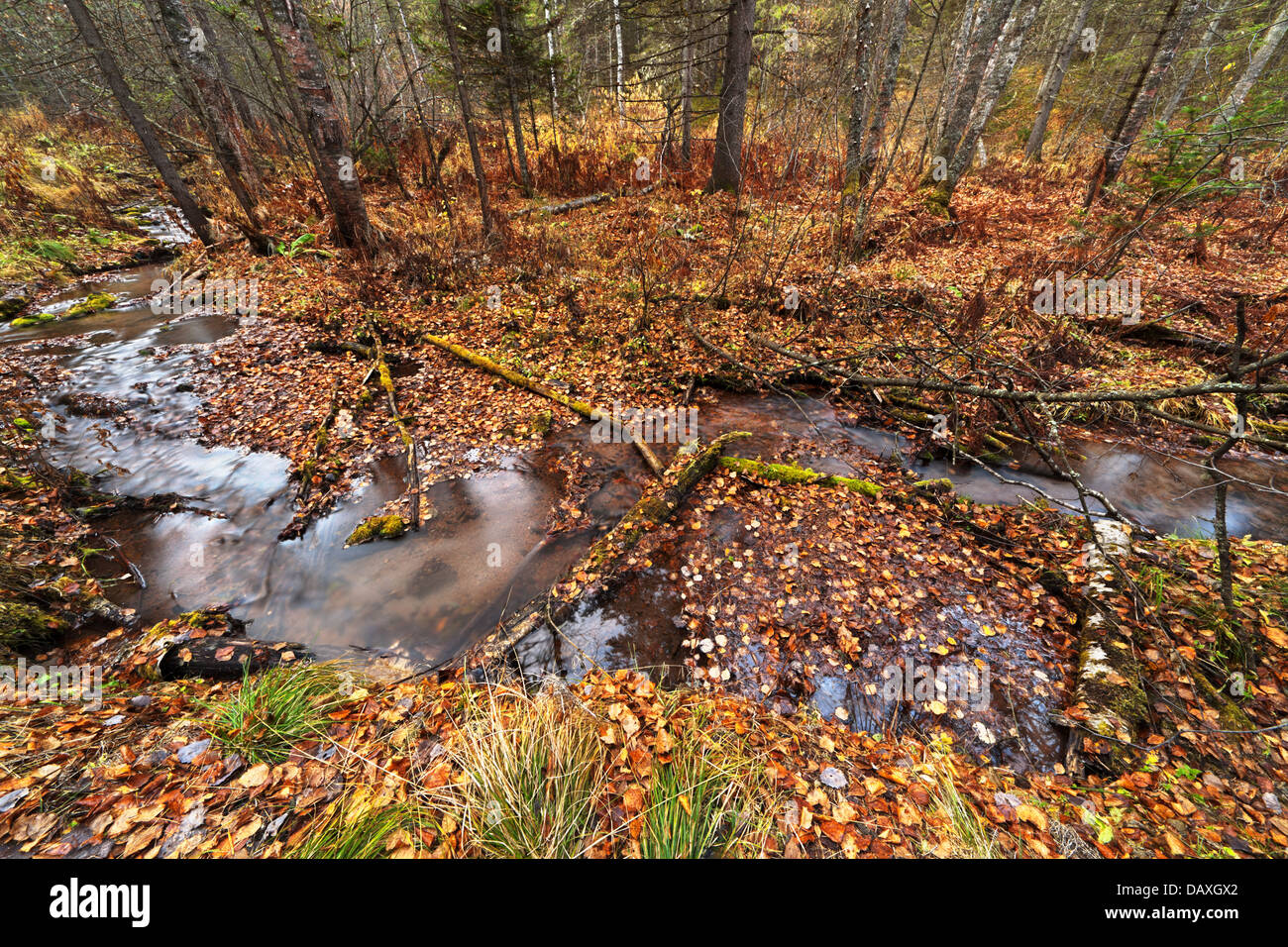 Image processed for high dynamic range color (HDRI technique Stock ...