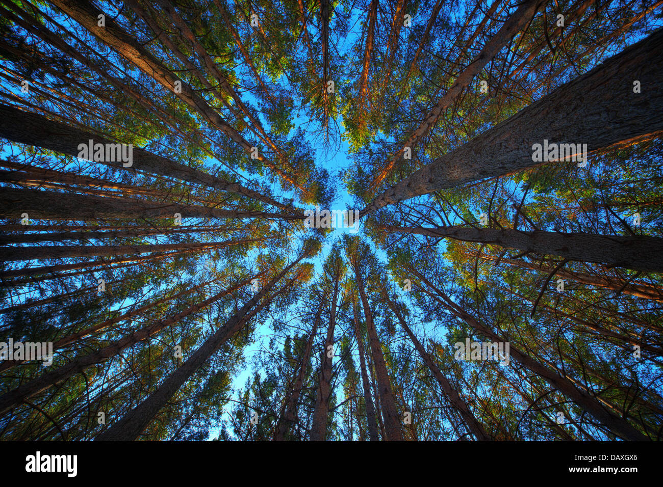 Image processed for high dynamic range color (HDRI technique Stock ...