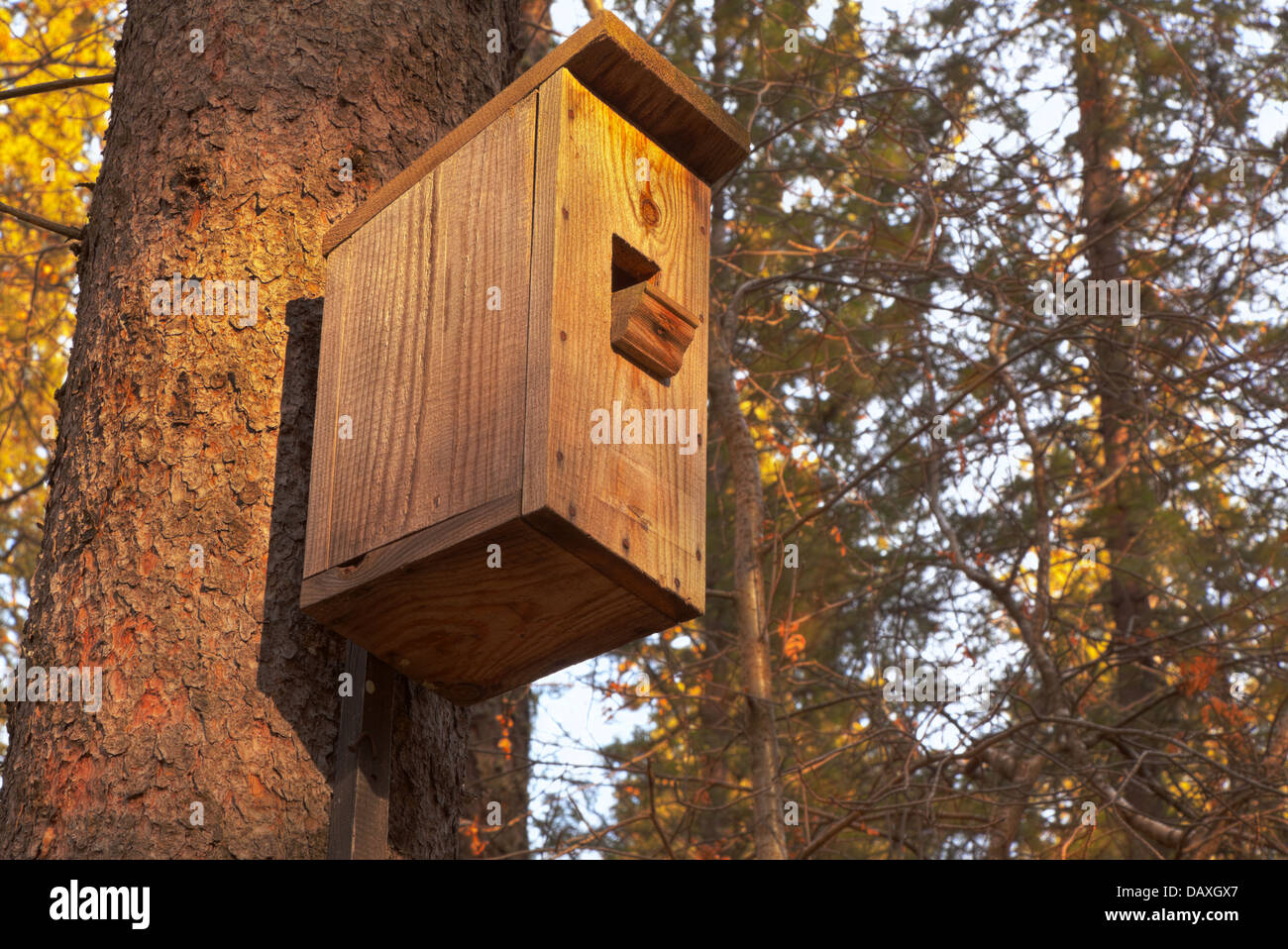 Image processed for high dynamic range color (HDRI technique Stock ...