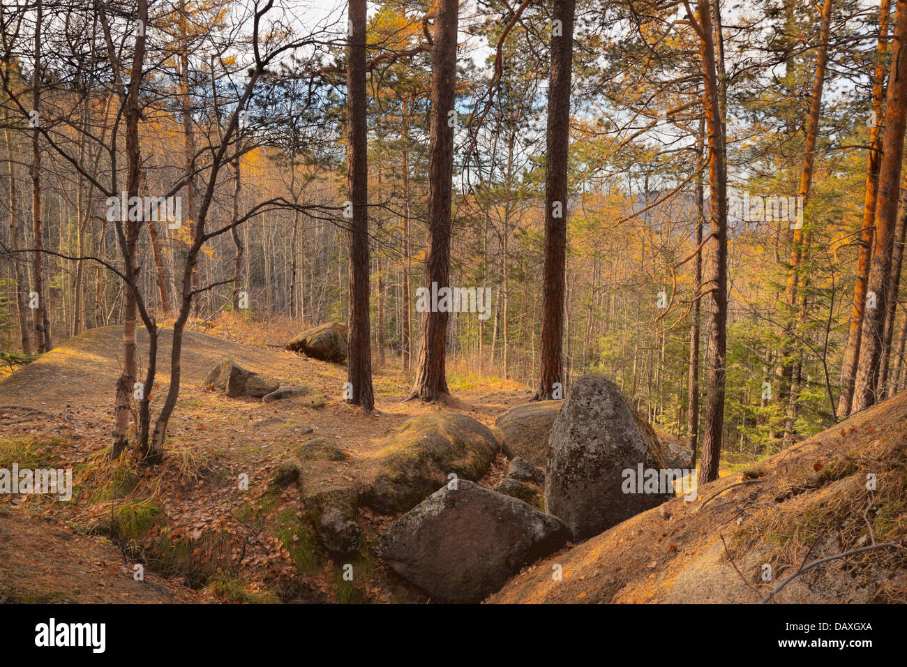 Image processed for high dynamic range color (HDRI technique Stock ...