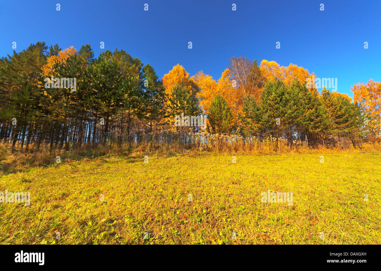 Image processed for high dynamic range color (HDRI technique Stock ...