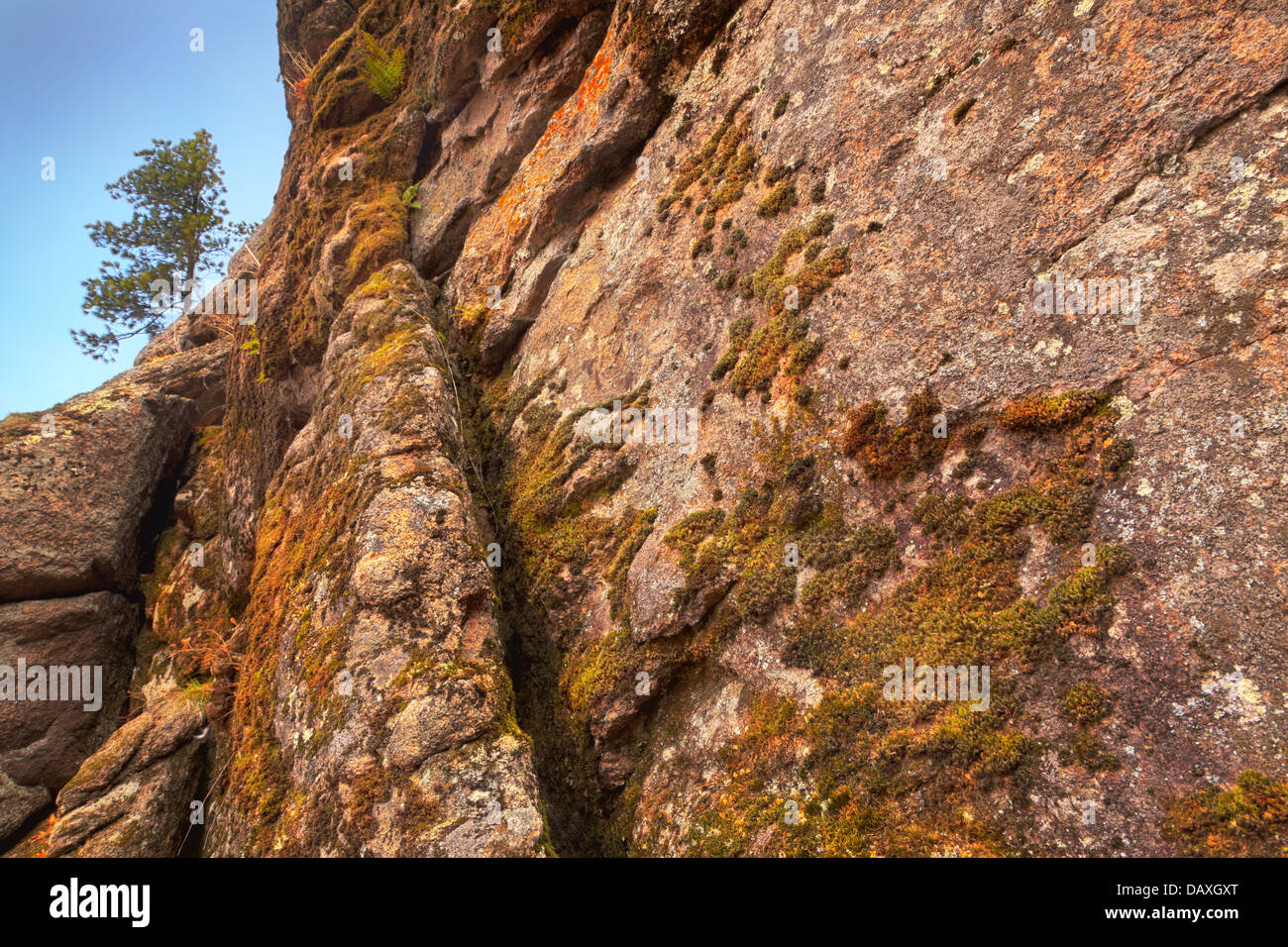 Image processed for high dynamic range color (HDRI technique Stock ...