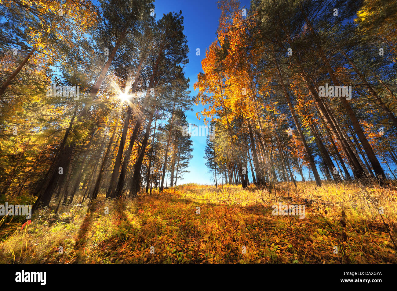 Image processed for high dynamic range color (HDRI technique Stock ...