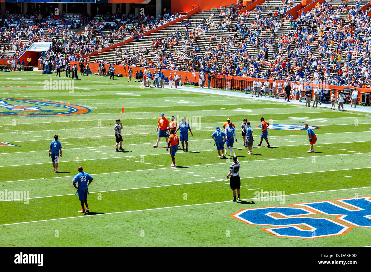 Swamp gators hi-res stock photography and images - Alamy