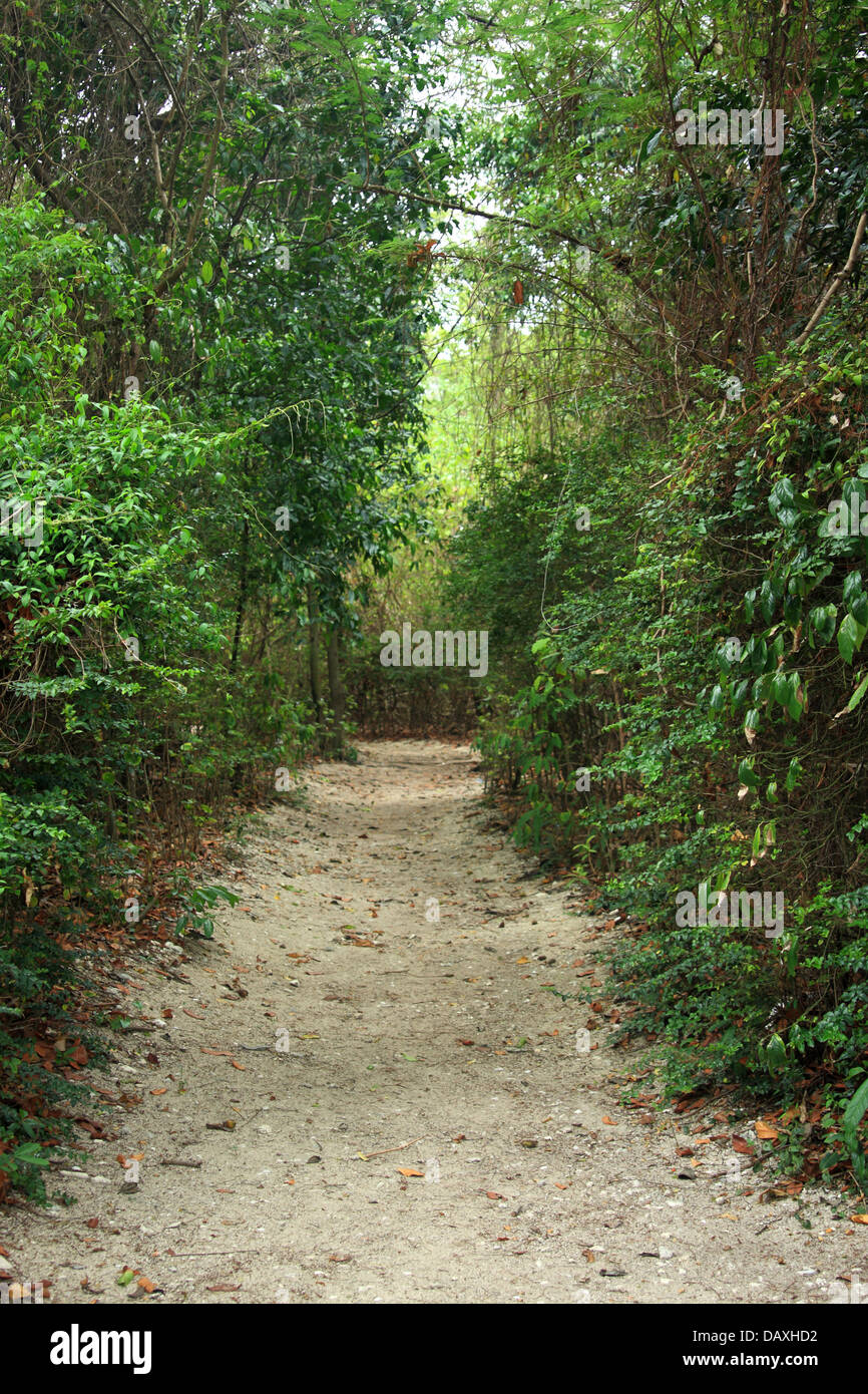 natural walk path in the garden Stock Photo - Alamy