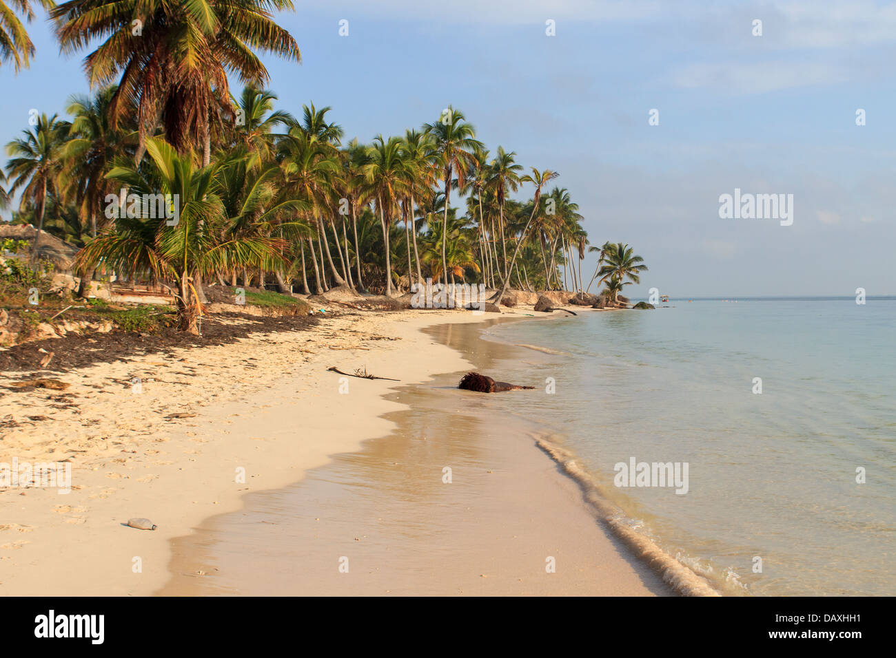 Tropical beach landscape hi-res stock photography and images - Alamy