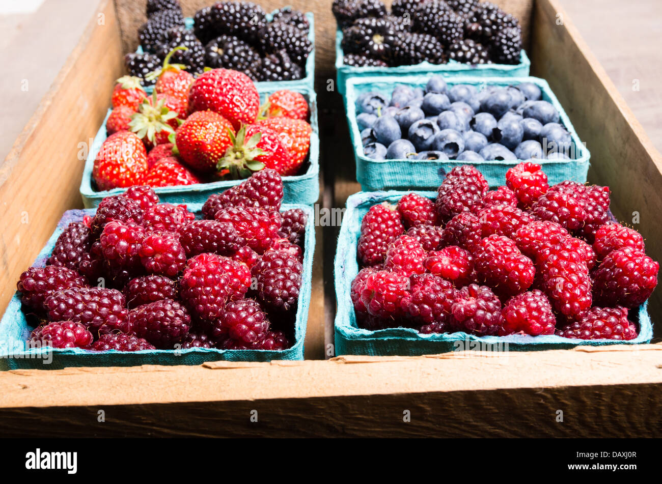 Fresh boxes of assorted berries on display at the farmers market Stock ...
