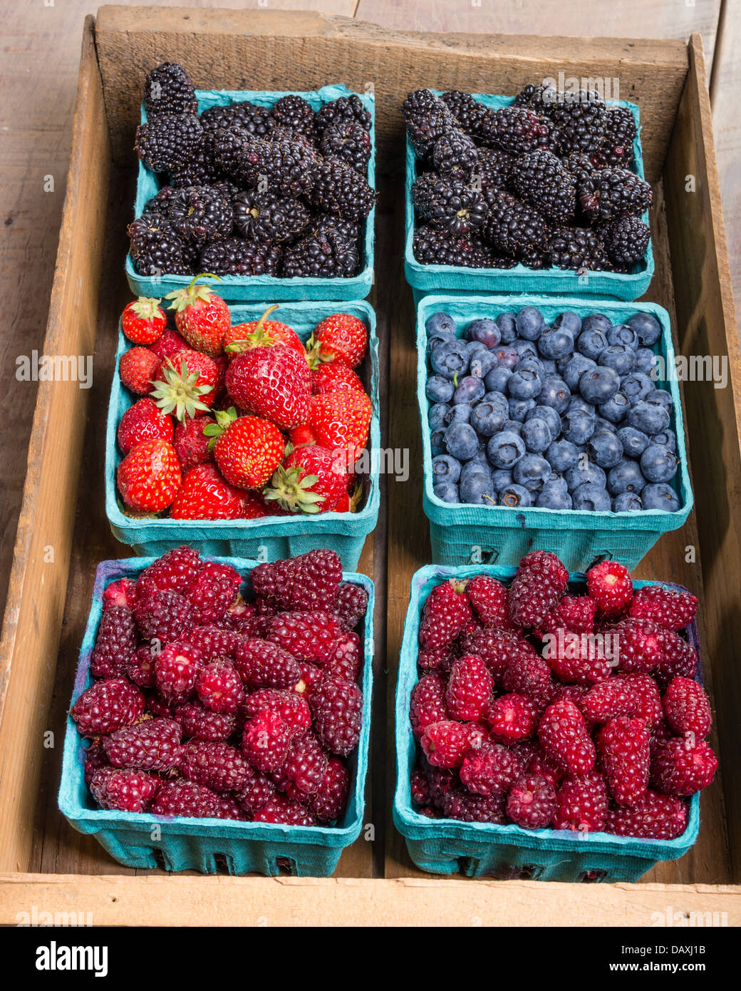 Fresh boxes of assorted berries on display at the farmers market Stock ...